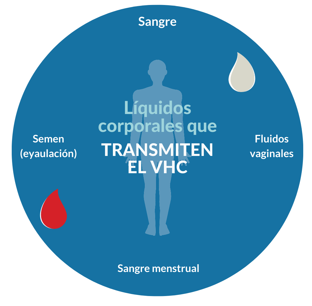 Transmisión De Virus Por Fluidos Corporales: Es Posible | Salud Vital ...