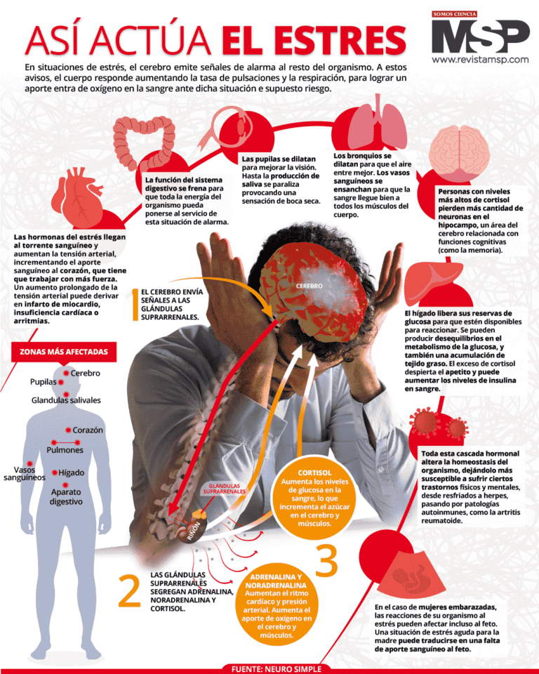 Impacto Del Estrés En La Salud Física General Y Sus Conexiones | Salud Vital | Consejos De Salud ...