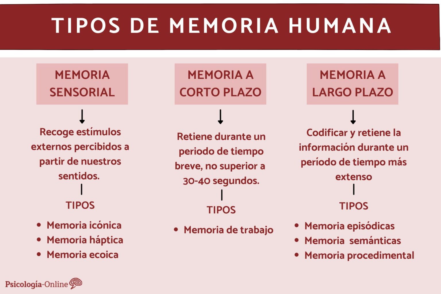 Tipos De Memoria: Clasificaciones Y Funciones Que Debes Conocer | Salud ...